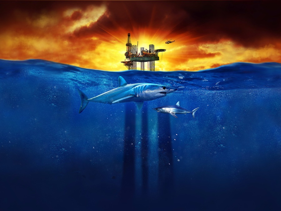 Monster Mako: Under the Rig - Apple TV (CA)