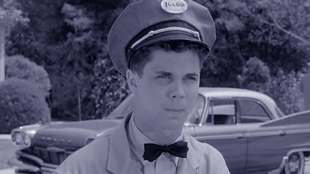 Buddy Hart Leave It To Beaver