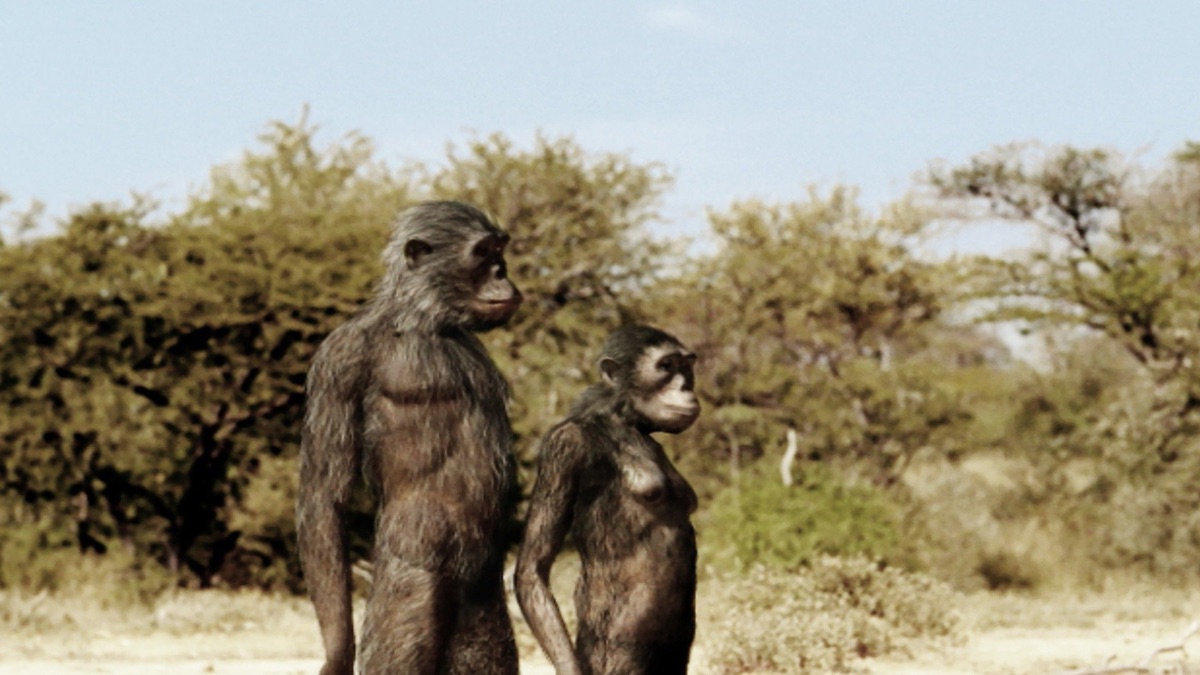Walking With Beasts Australopithecus