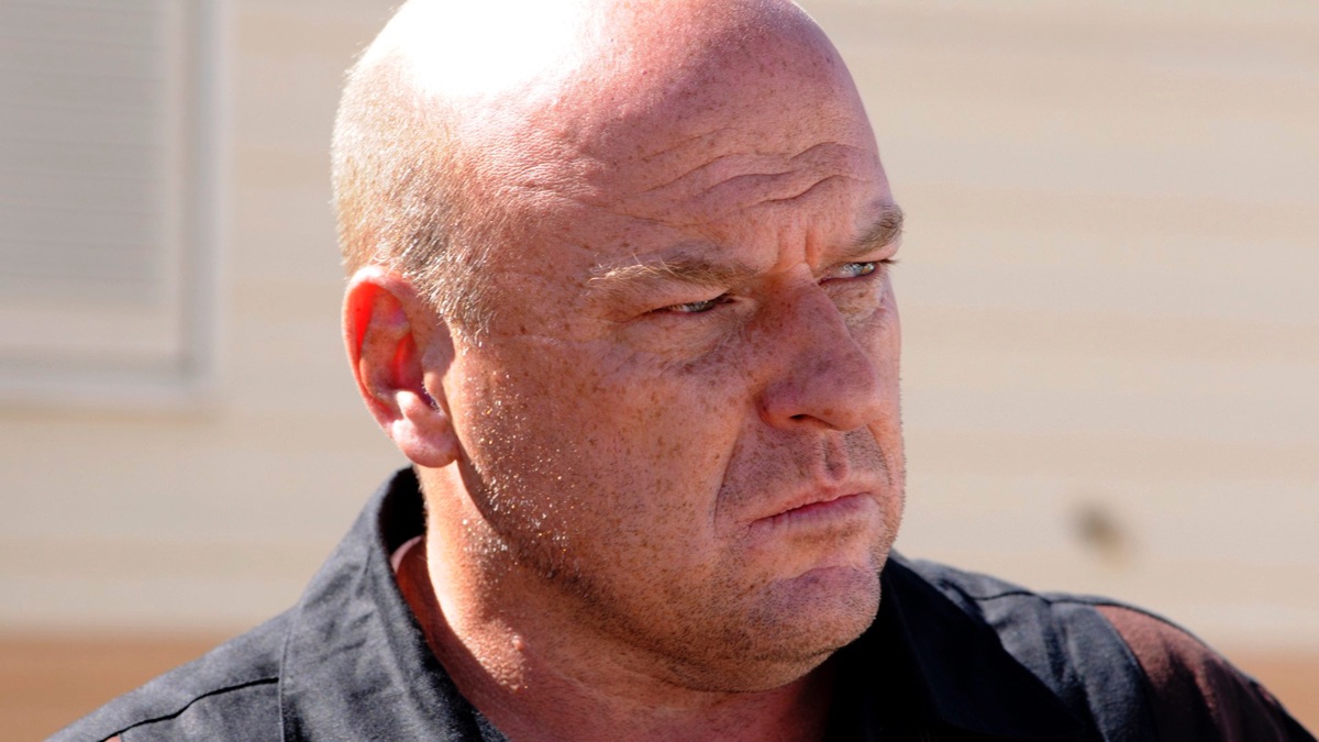 Michael Shamus Wiles Breaking Bad