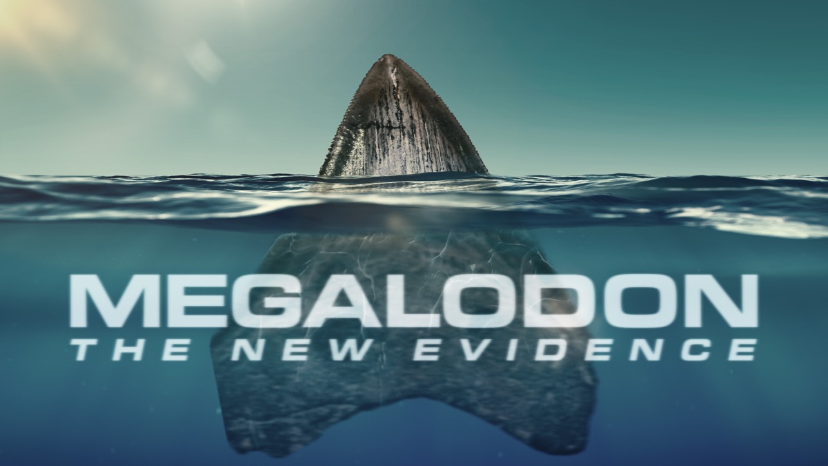 ‎Megalodon: The New Evidence —Apple TV