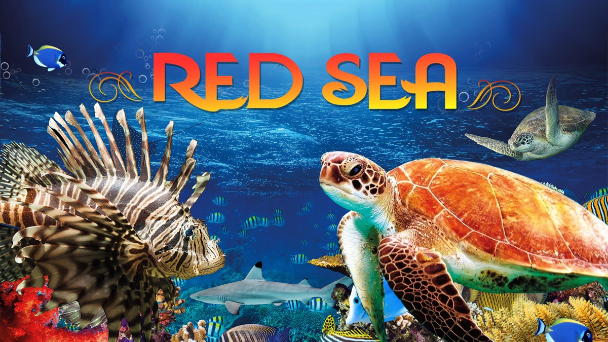 ‎Red Sea - Apple TV