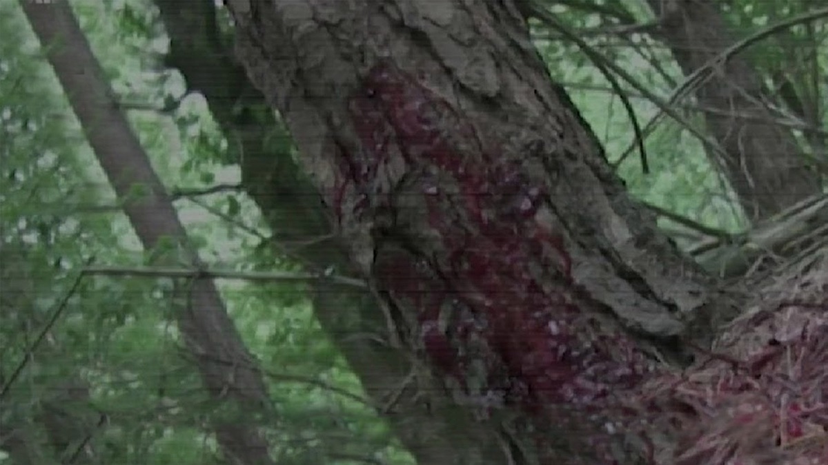 Devil's Familiar - Apple TV