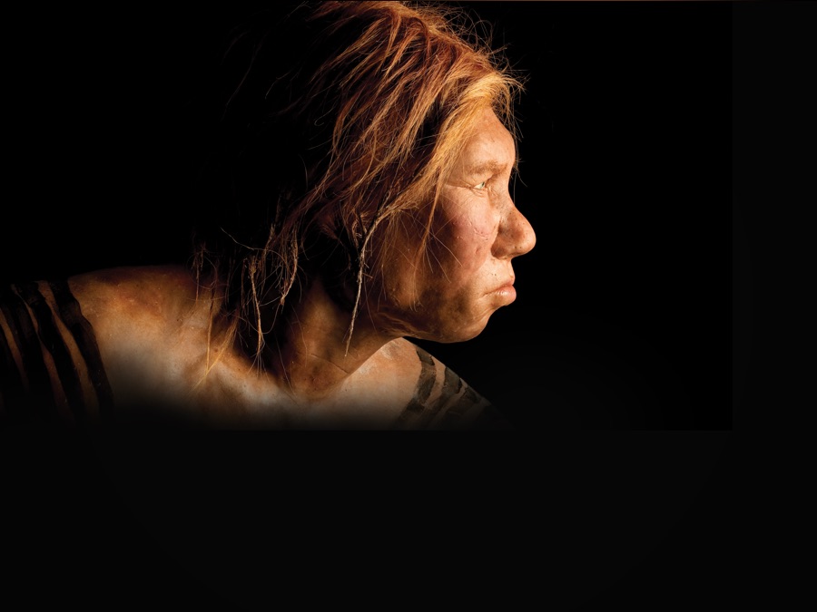 Early Humans: Ice, Stone, and Survival - Apple TV (NZ)