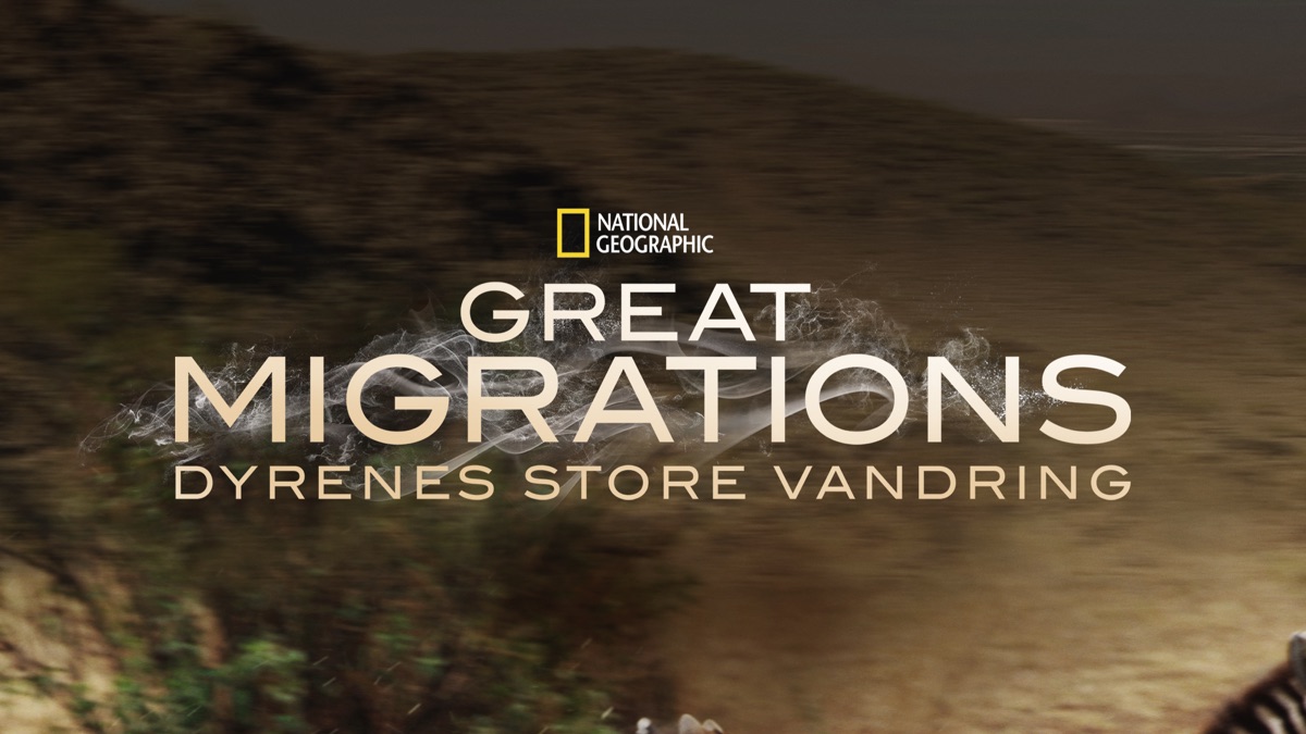 ‎Great Migrations – Apple TV