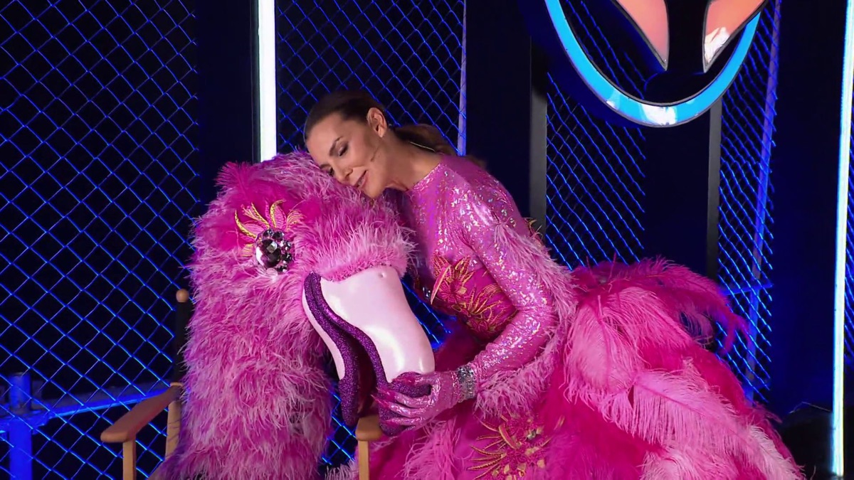 Detrás del Perro y el Flamenco - Mask singer: detrás de la máscara ...