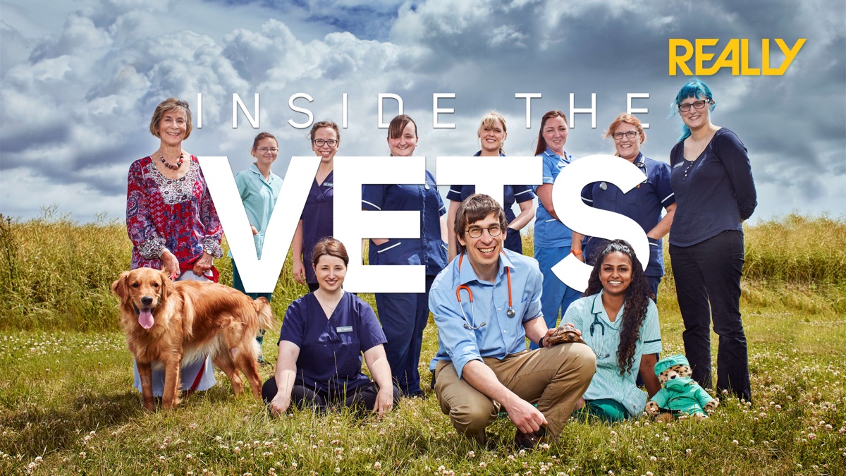 ‎Inside the Vets - Apple TV