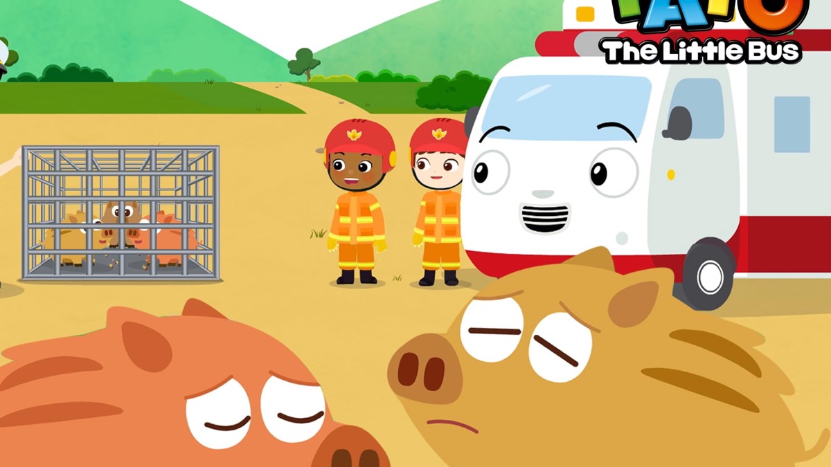 The Baby Boars Are in Danger! - Tayo & The Animal Rescue (Season 1 ...