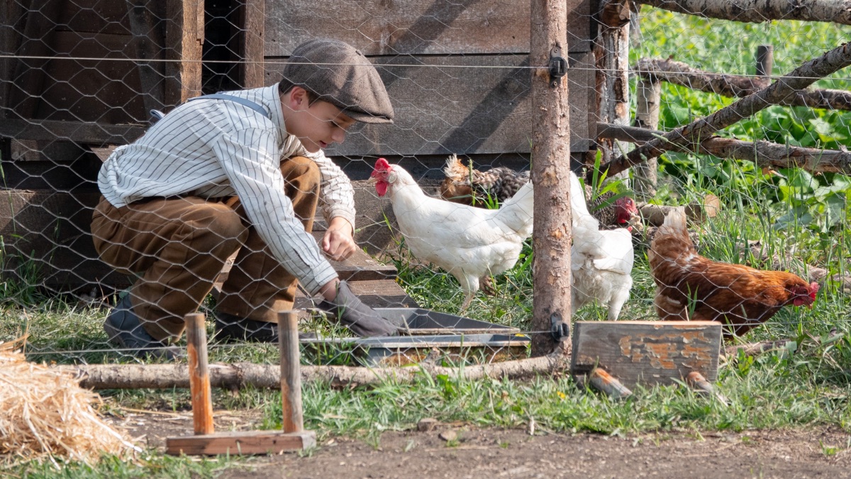 ‎A Harrowing Tale - Back to the Frontier (Series 1, Episode 4) - Apple ...