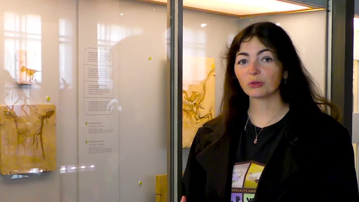 Seeking the First Dinosaur Hunters - Apple TV