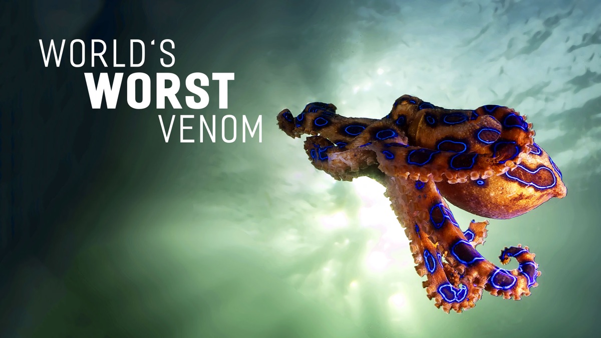 World's Worst Venom - Apple TV