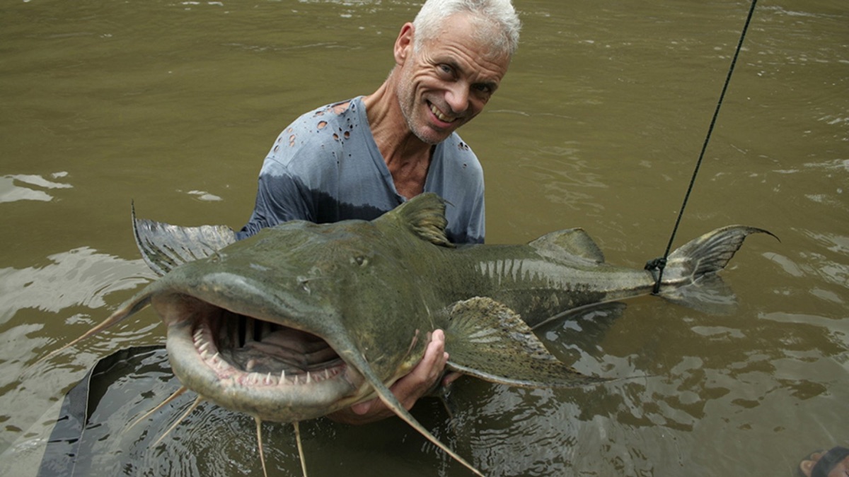 Red Tail Catfish Jeremy Wade
