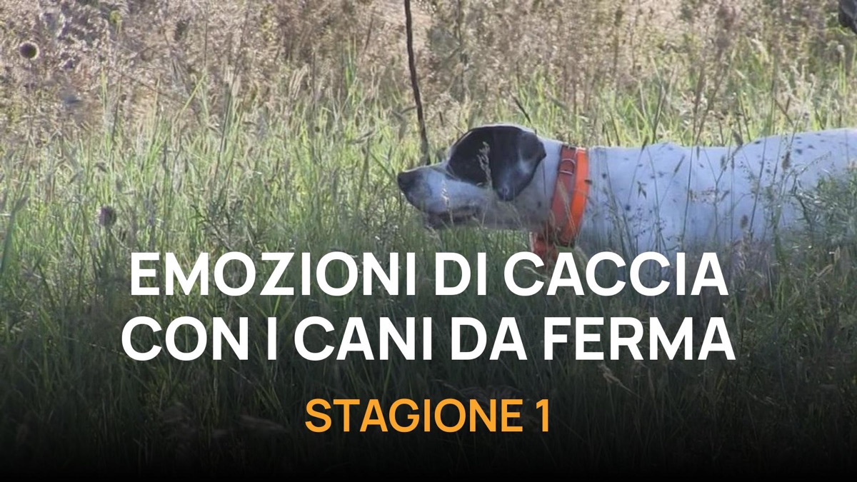 Emozioni di caccia con i cani da ferma - Apple TV (IT)
