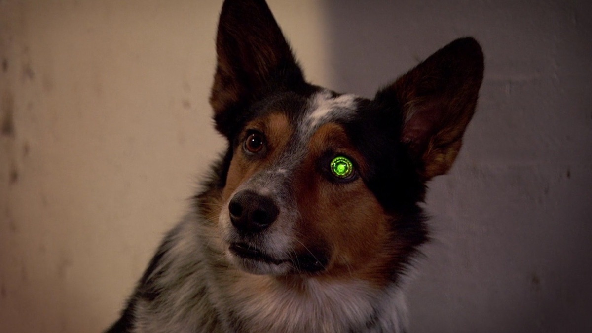 ‎Bionic Dog - Lab Rats (Series 4, Episode 5) - Apple TV (VG)