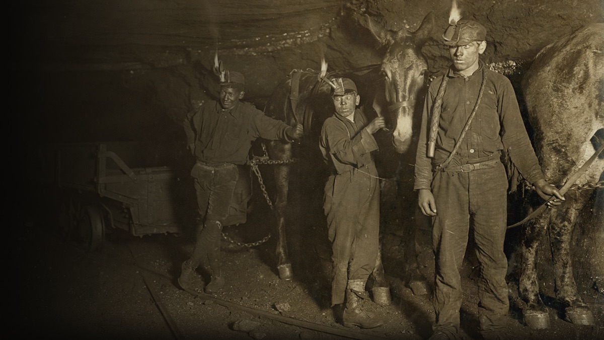 American Experience: The Mine Wars - Apple TV