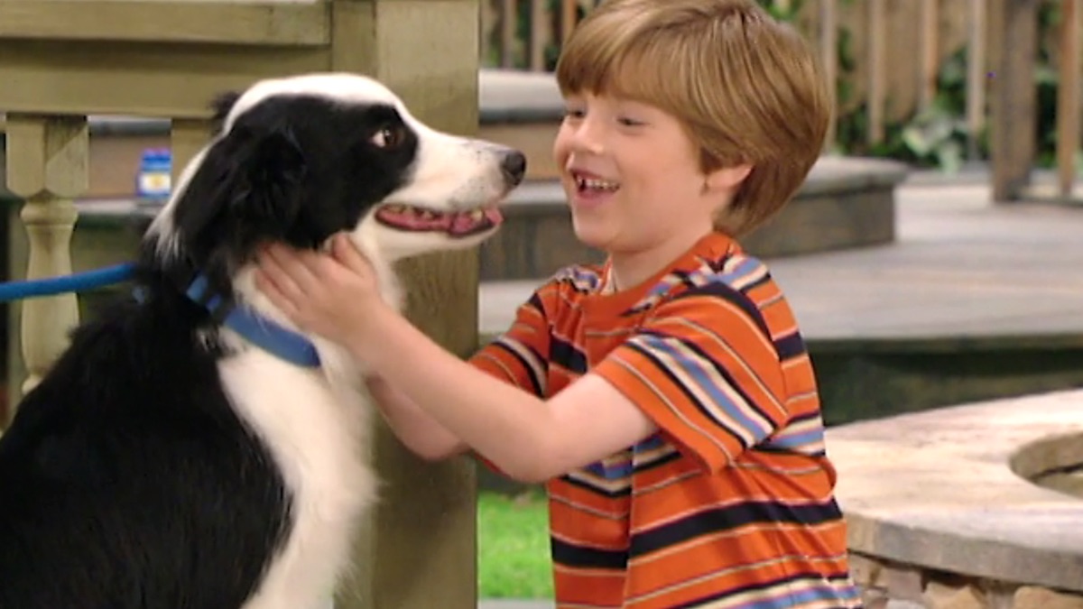 Pets; Vets – Barney And Friends (Season 10, Episode 109) - Apple TV (AU)