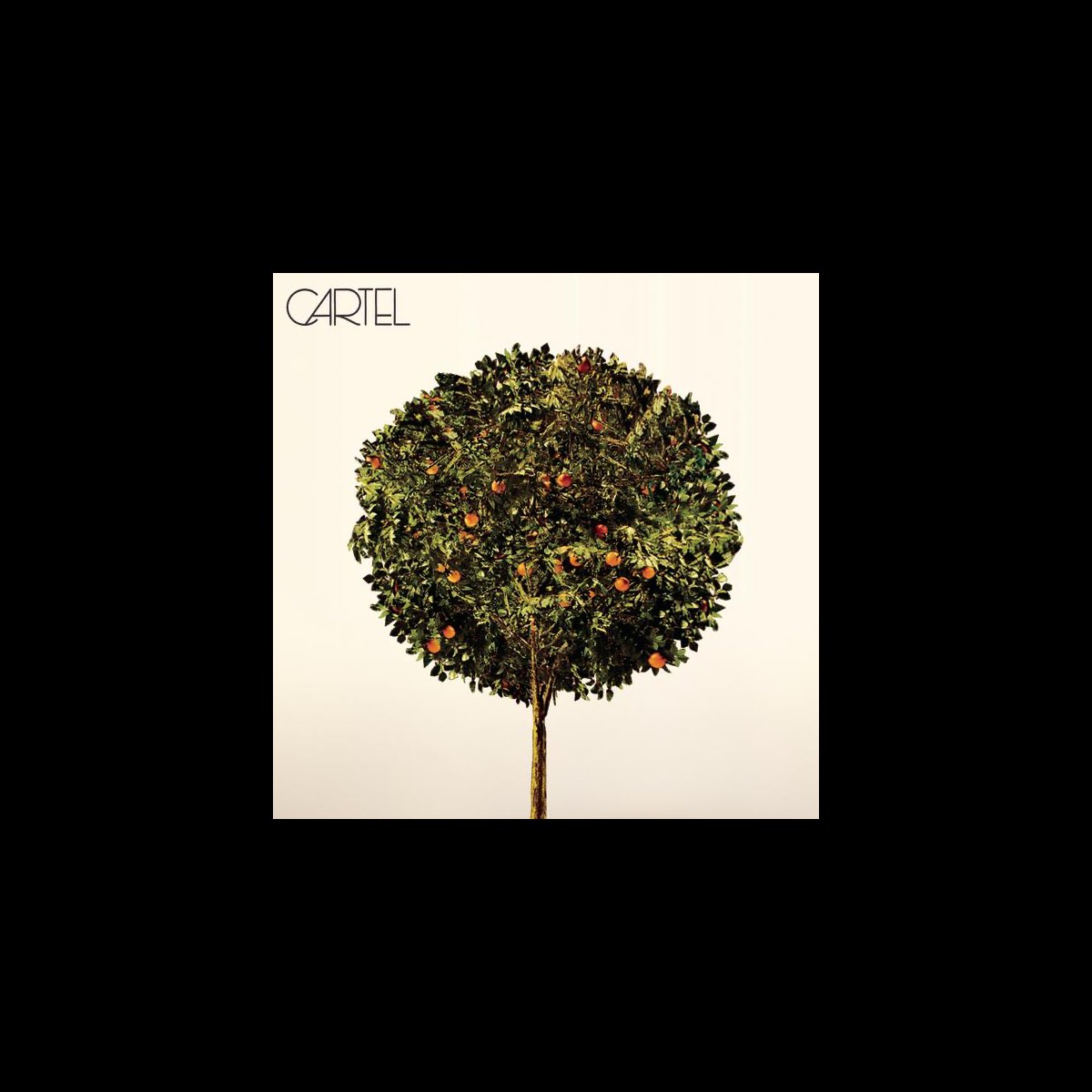 ‎Cartel (Bonus Track Version) - Album by Cartel - Apple Music