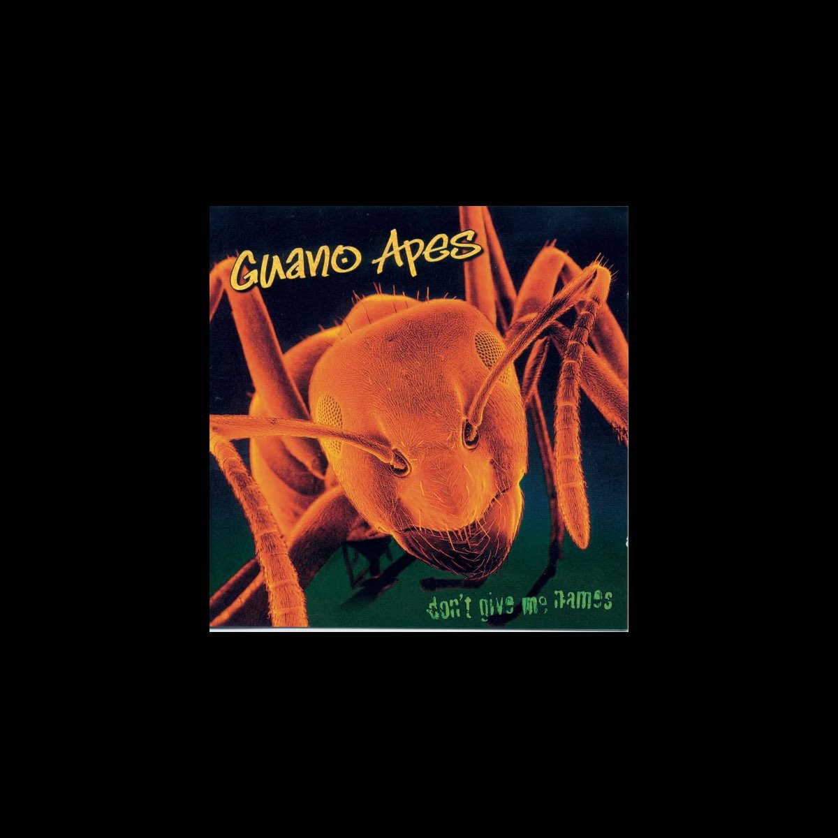 ‎Don't Give Me Names - Album by Guano Apes - Apple Music