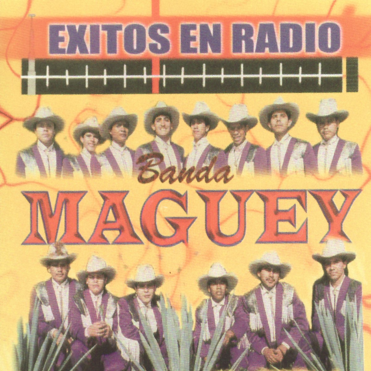 Exitos en Radio” álbum de Banda Maguey en Apple Music