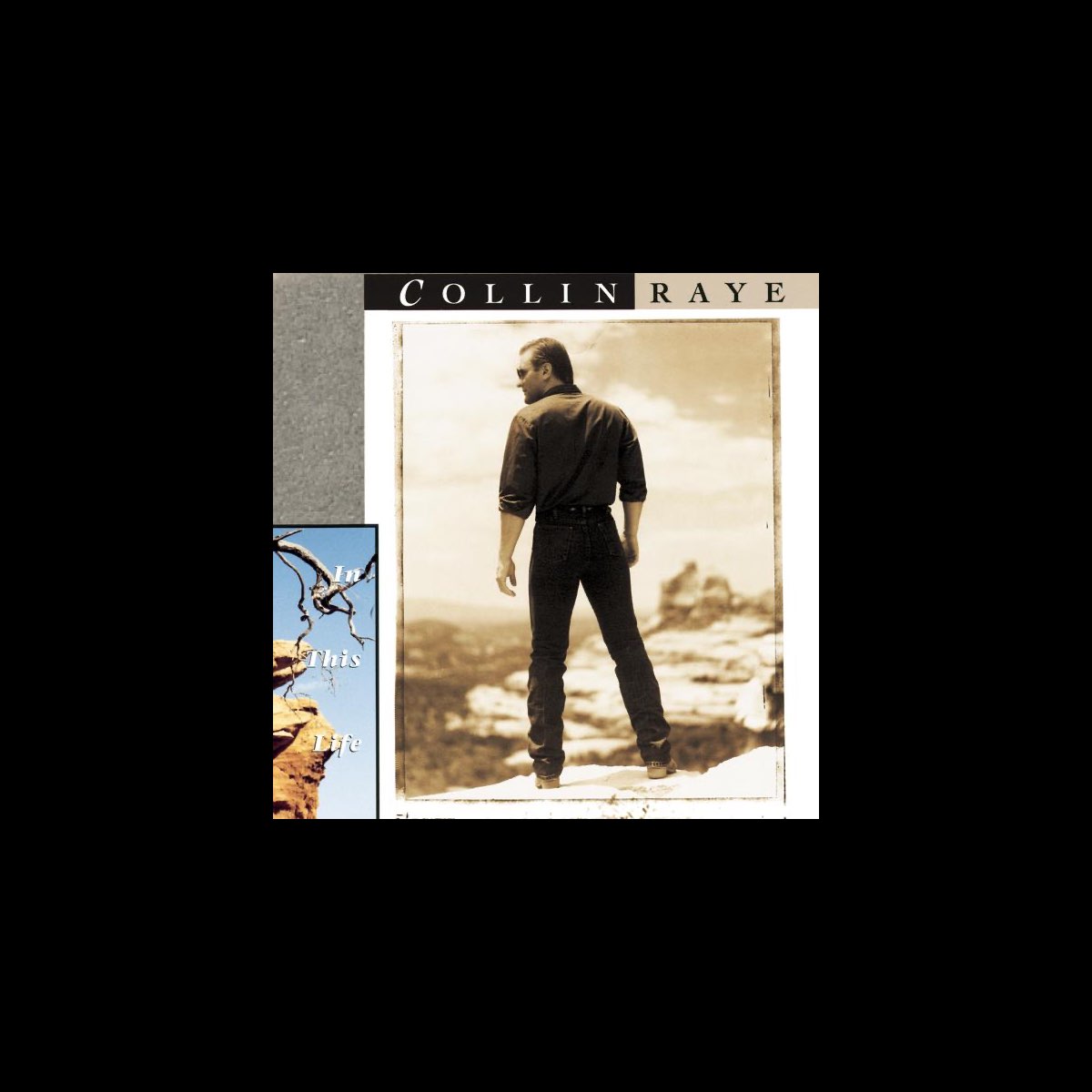 ‎In This Life - Album by Collin Raye - Apple Music