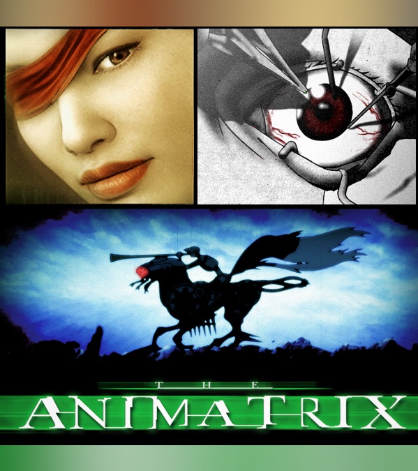 Animatrix Poster