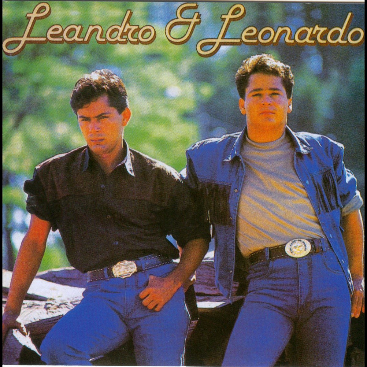 Volume 4》- Leandro & Leonardo的专辑 - Apple Music