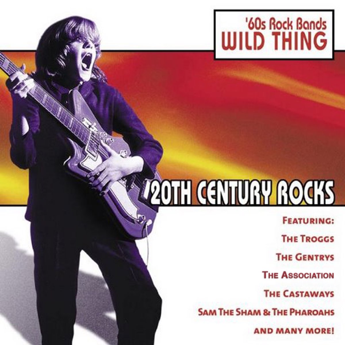 ‎20th Century Rocks: 60's Rock Bands - Wild Thing (Re-Recorded Versions ...