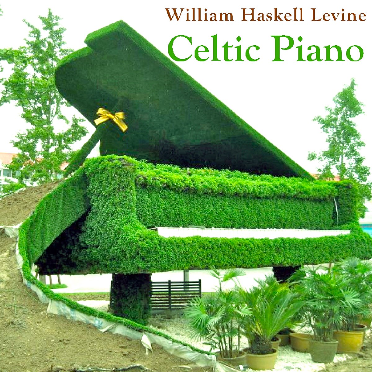 ‎Celtic Piano - Album by William Haskell Levine - Apple Music