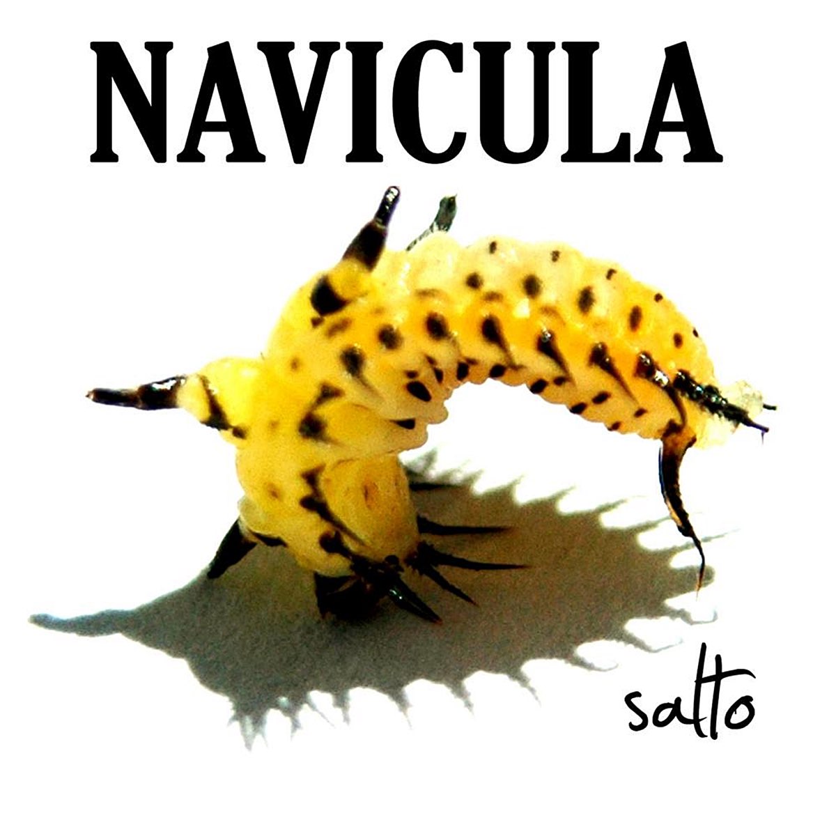 ‎Salto - Album by Navicula - Apple Music