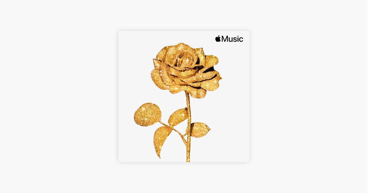 每日热歌 歌单 Apple Music