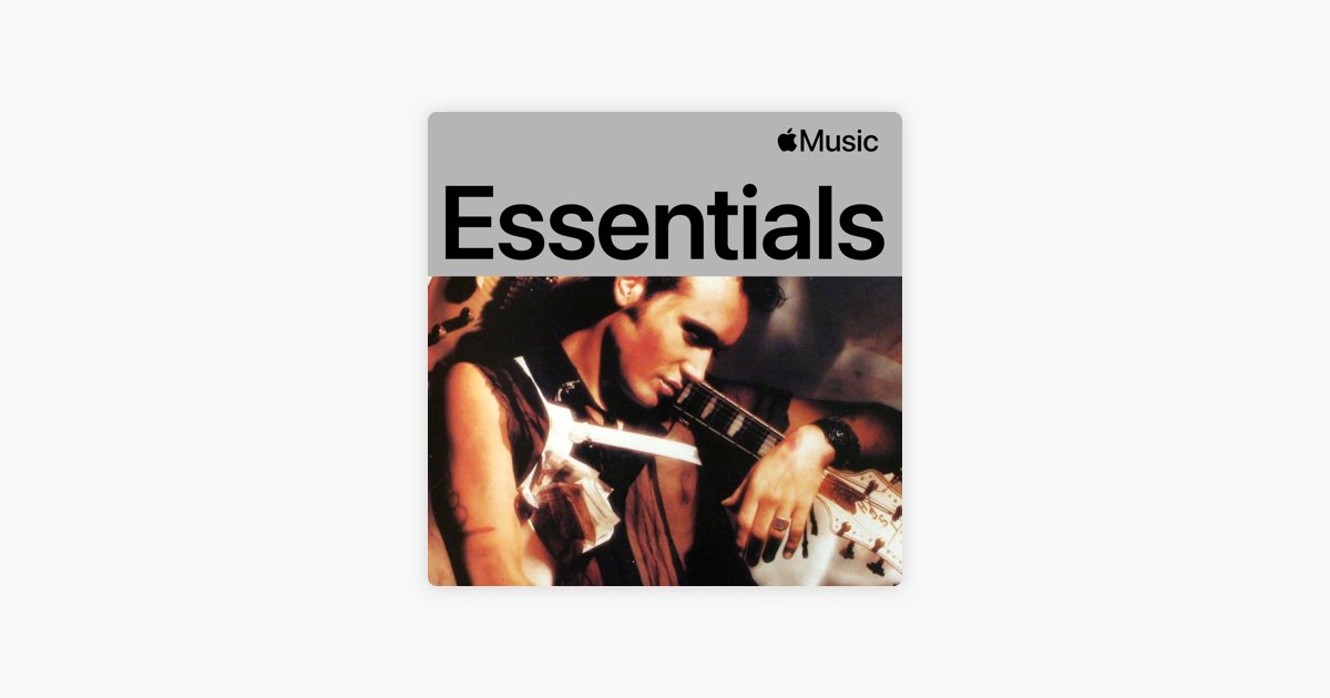 ‎Adam Ant Essentials - Playlist - Apple Music