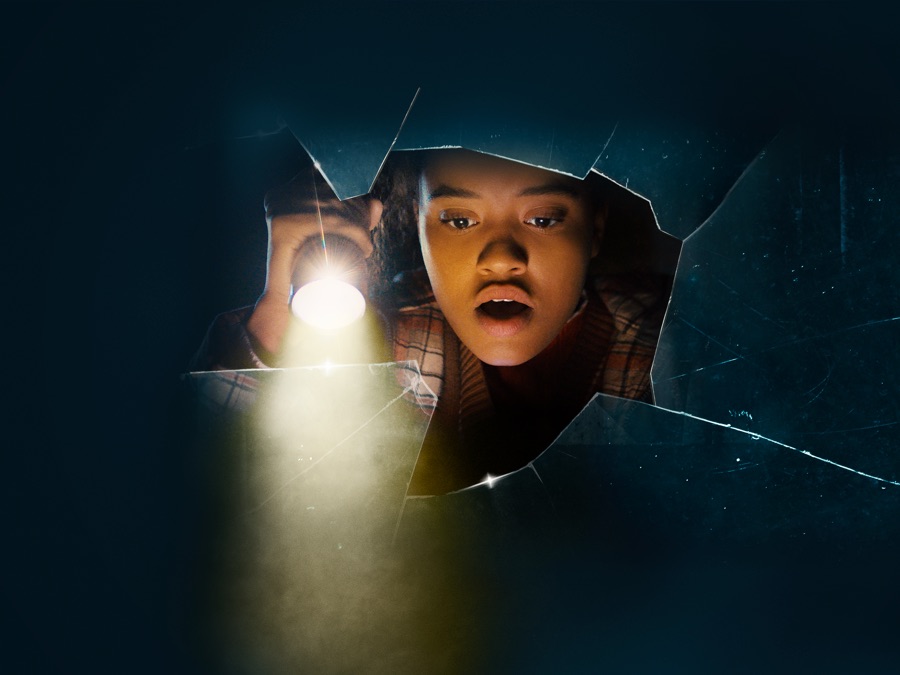 Susie Searches - Apple TV