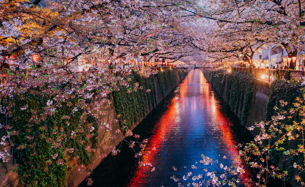 ‎Tokyo: An App Lover’s Guide : App Store Story