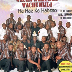 Ba Lala Ba Khukhu Masiu (feat. PAUL & Kago) - Wacha Mkhukhu Wachumlilo ...