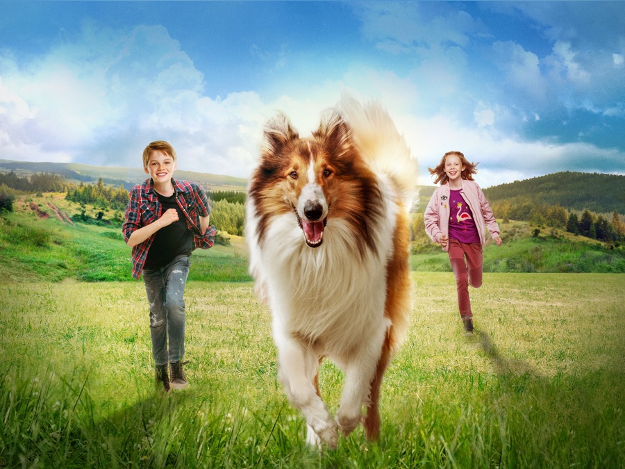 Lassie Eine Abenteuerliche Reise Apple Tv De