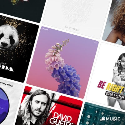 David Guetta's One Mix Playlist on Apple Music