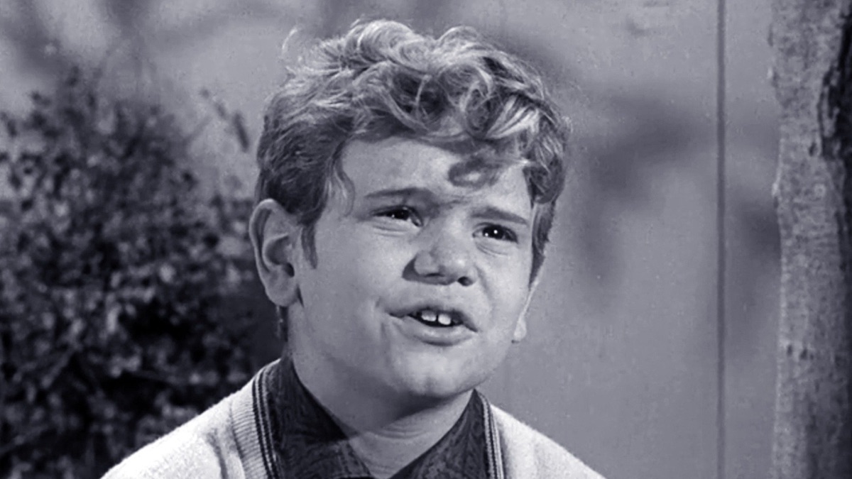 ‎Opie and the Spoiled Kid - The Andy Griffith Show (Series 3, Episode ...