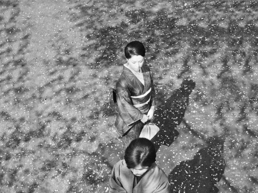 Eros + Massacre - Apple TV