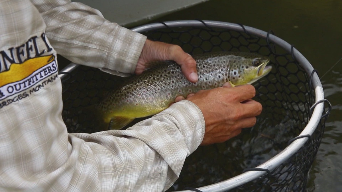 ‎The Float – Beyond the Hunt (Season 11, Episode 9) - Apple TV (CA)