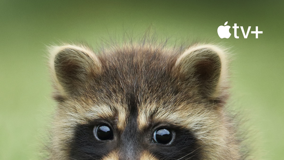 ‎Watch The Secret Lives of Animals - Apple TV