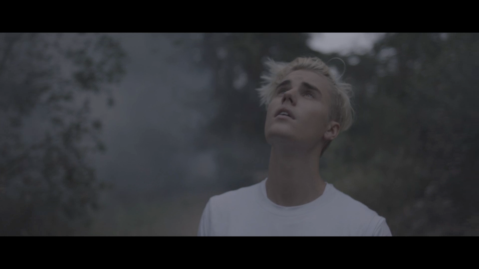 ‎Purpose album trailer on Apple Music