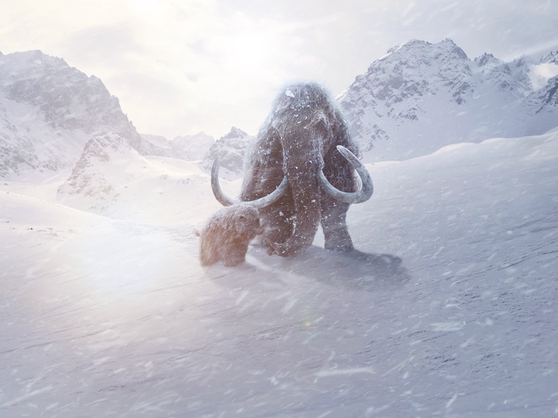Prehistoric Planet: Ice Age Museum Guide - Apple Maps