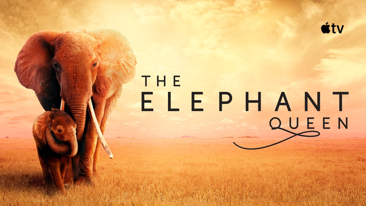 ‎Ver The Elephant Queen - Apple TV