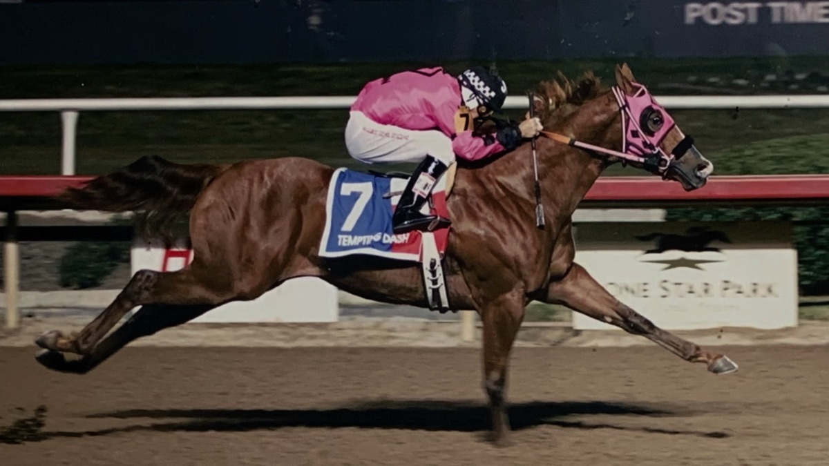 Watch The Starting Gate - Cowboy Cartel (Series 1, Episode 1) - Apple ...