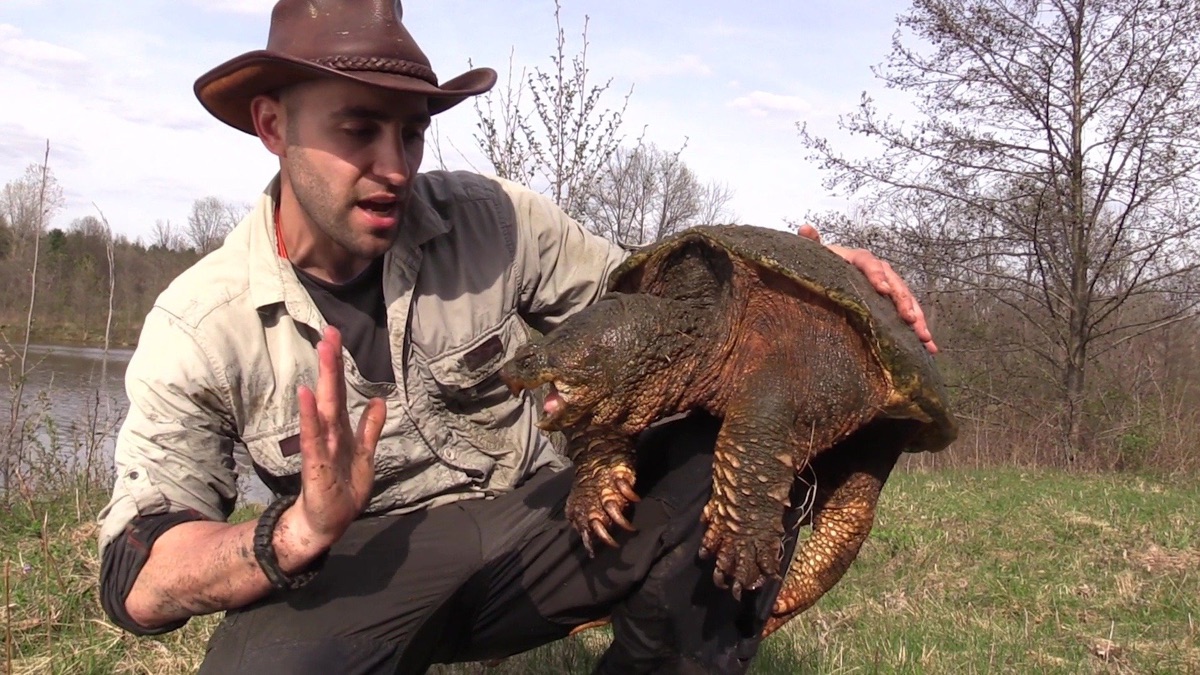 Snapping Turtles – Brave Wilderness (Season 3, Episode 11) - Apple TV (AU)