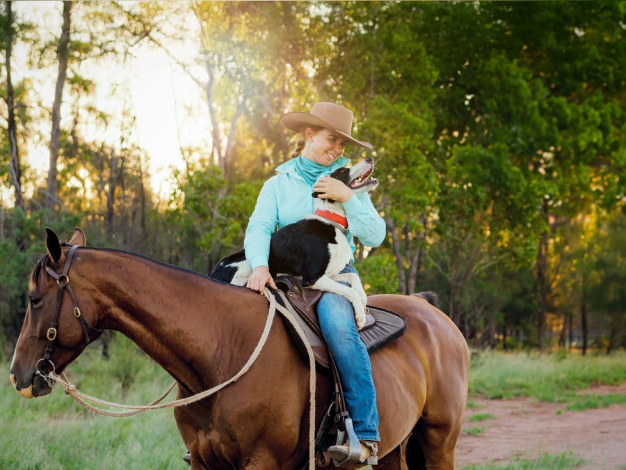 Muster Dogs: Where Are They Now - Apple TV (AU)