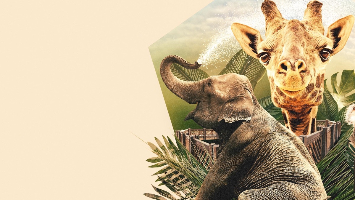 Mega Zoo - Apple TV