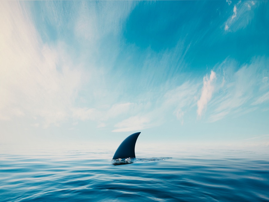 The Secret Lives of Sharks - Apple TV (UK)