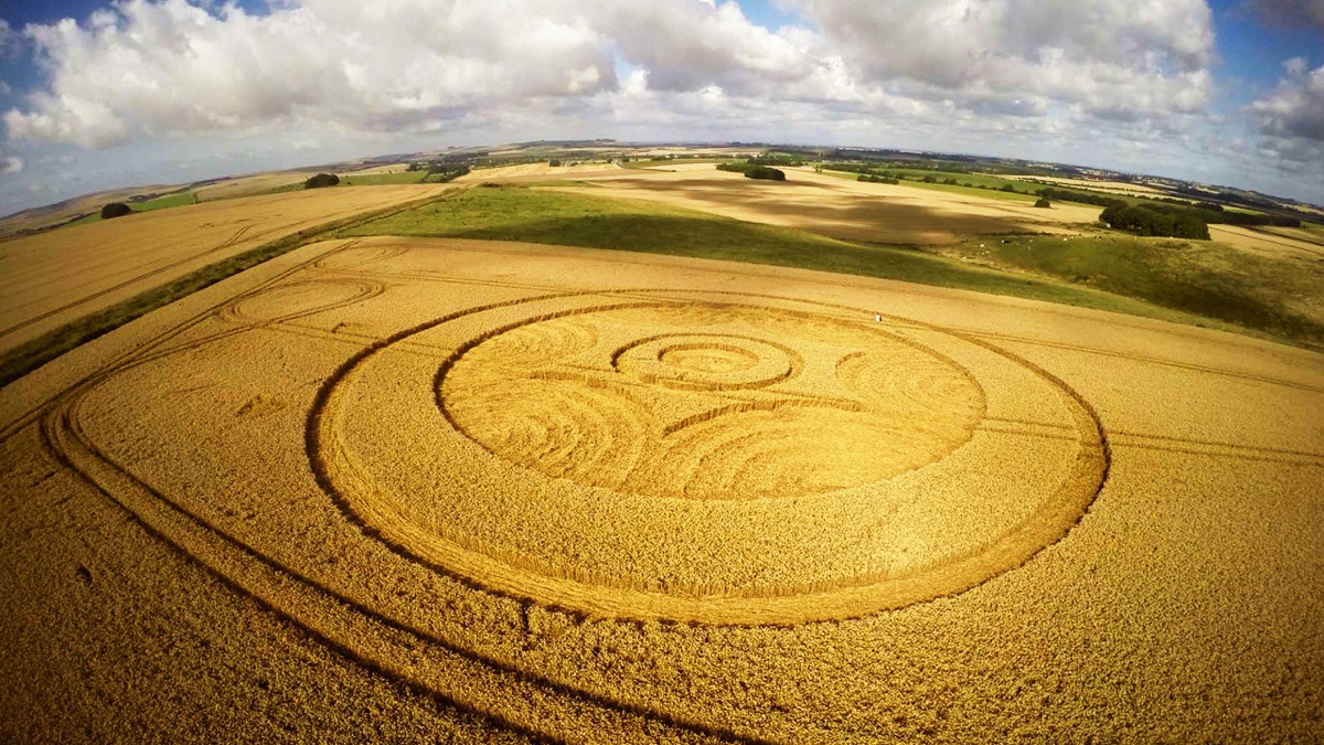 Alien Crop Circle