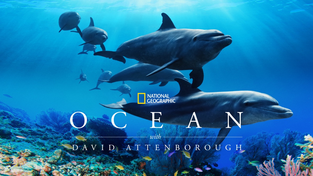 ‎Ocean with David Attenborough - Apple TV